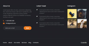 The Best 15 Footer Design Examples and Best Practices | Fireart Studio
