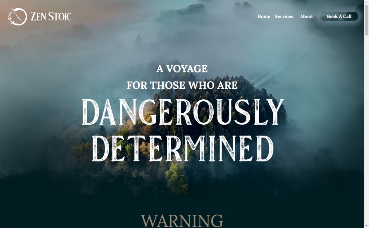9 Best Dark Web Designs for Inspiration | Fireart