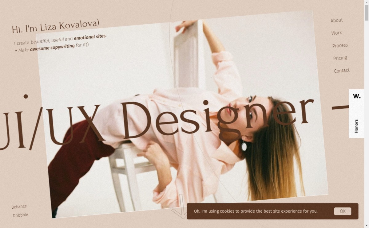 16 Best Brown Web Designs for Inspiration | Fireart
