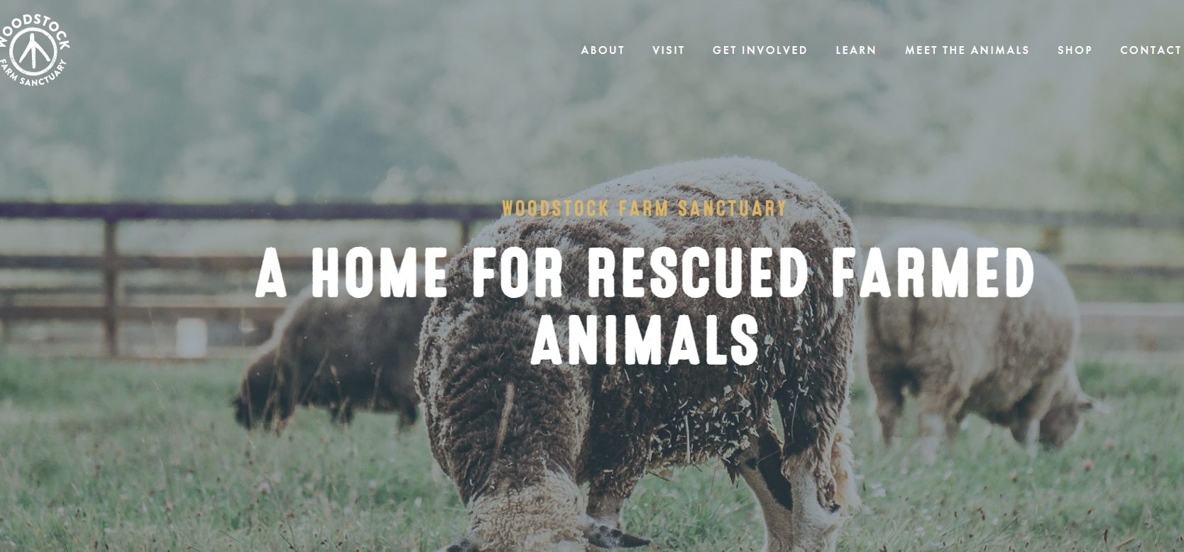 Amazing farming website design examples | Fireart Studio