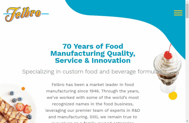 16 Best Online Food Product Website Design Examples | Fireart