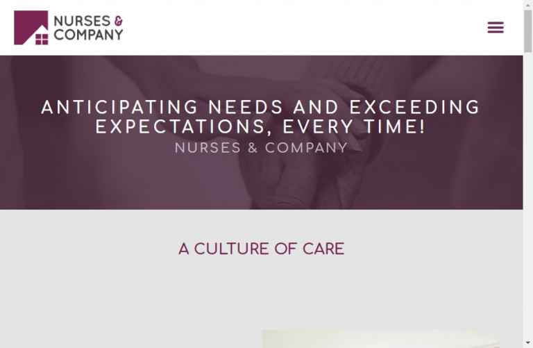 10 Best Online Nurses Website Design Examples | Fireart