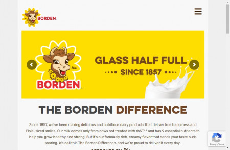 18 Best Online Dairy Website Design Examples | Fireart