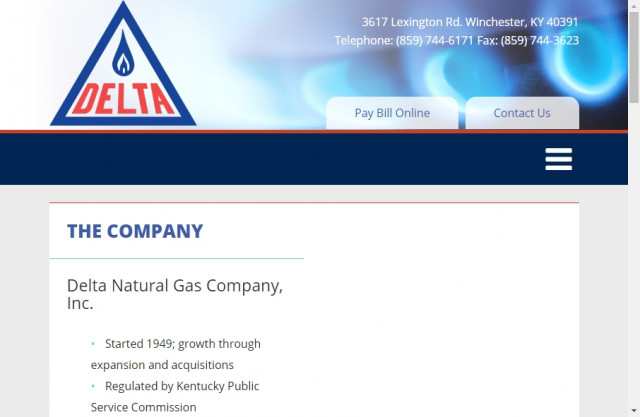 11 Best Gas Website Design Examples | Fireart