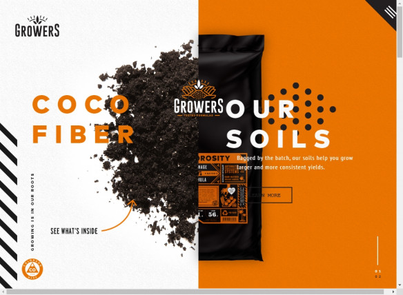 20 Creative Website Design Examples to Inspire You | Fireart