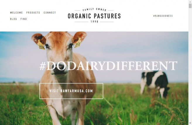 18 Best Online Dairy Website Design Examples | Fireart