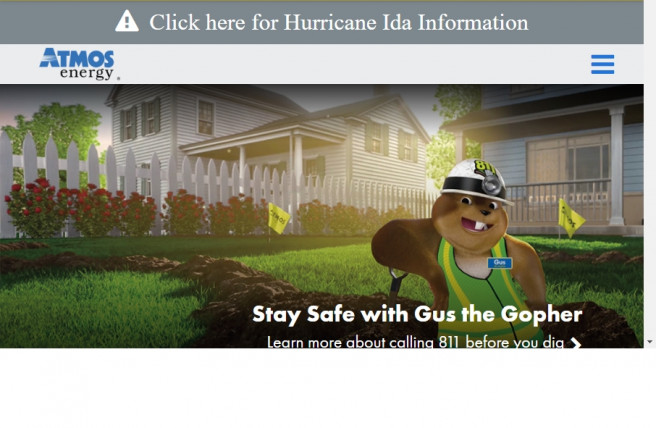 11 Best Gas Website Design Examples | Fireart