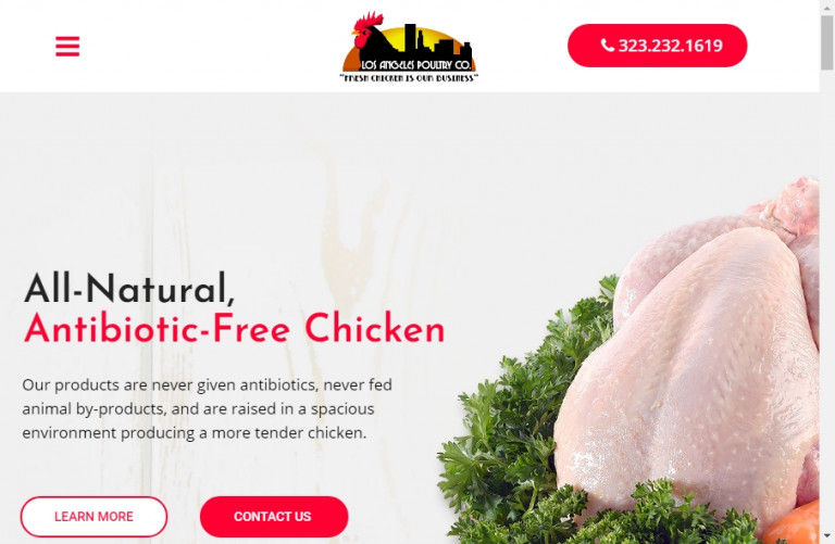 15 Best Poultry Website Design Examples | Fireart