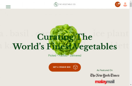 13 Best Vegetable Website Design Examples | Fireart