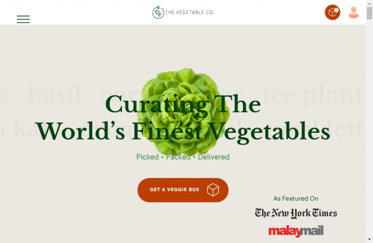 13 Best Vegetable Website Design Examples | Fireart