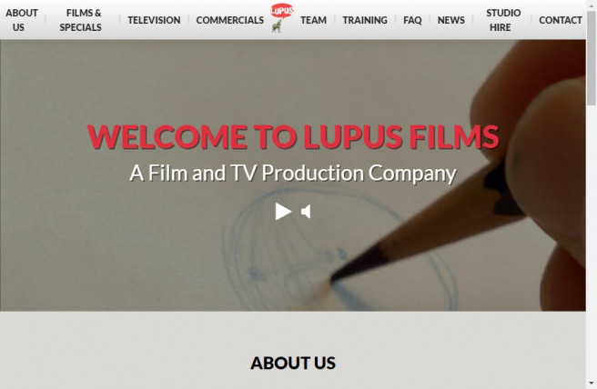 13 Best TV Production Website Design Examples | Fireart