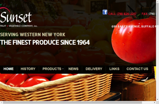 13 Best Vegetable Website Design Examples | Fireart