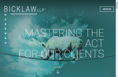 13 Best Advocate Website Design Examples | Fireart