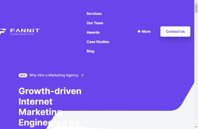13 Best SEO Website Design Examples | Fireart