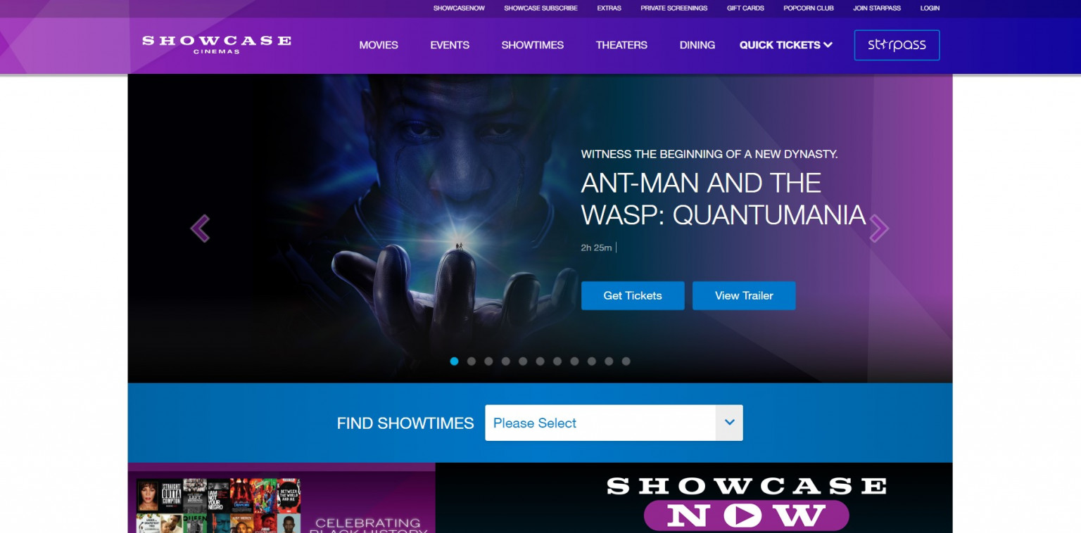 15 Best Showcase Website Design Examples | Fireart